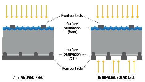 More About Bifacial Solar Panels Encapsulated with Bifacial Solar Cells ...